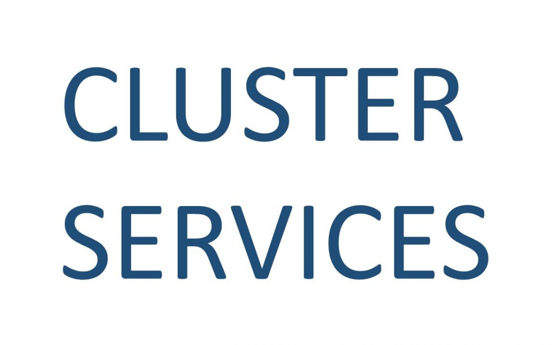 Working conditions and governance Archives - Diesis